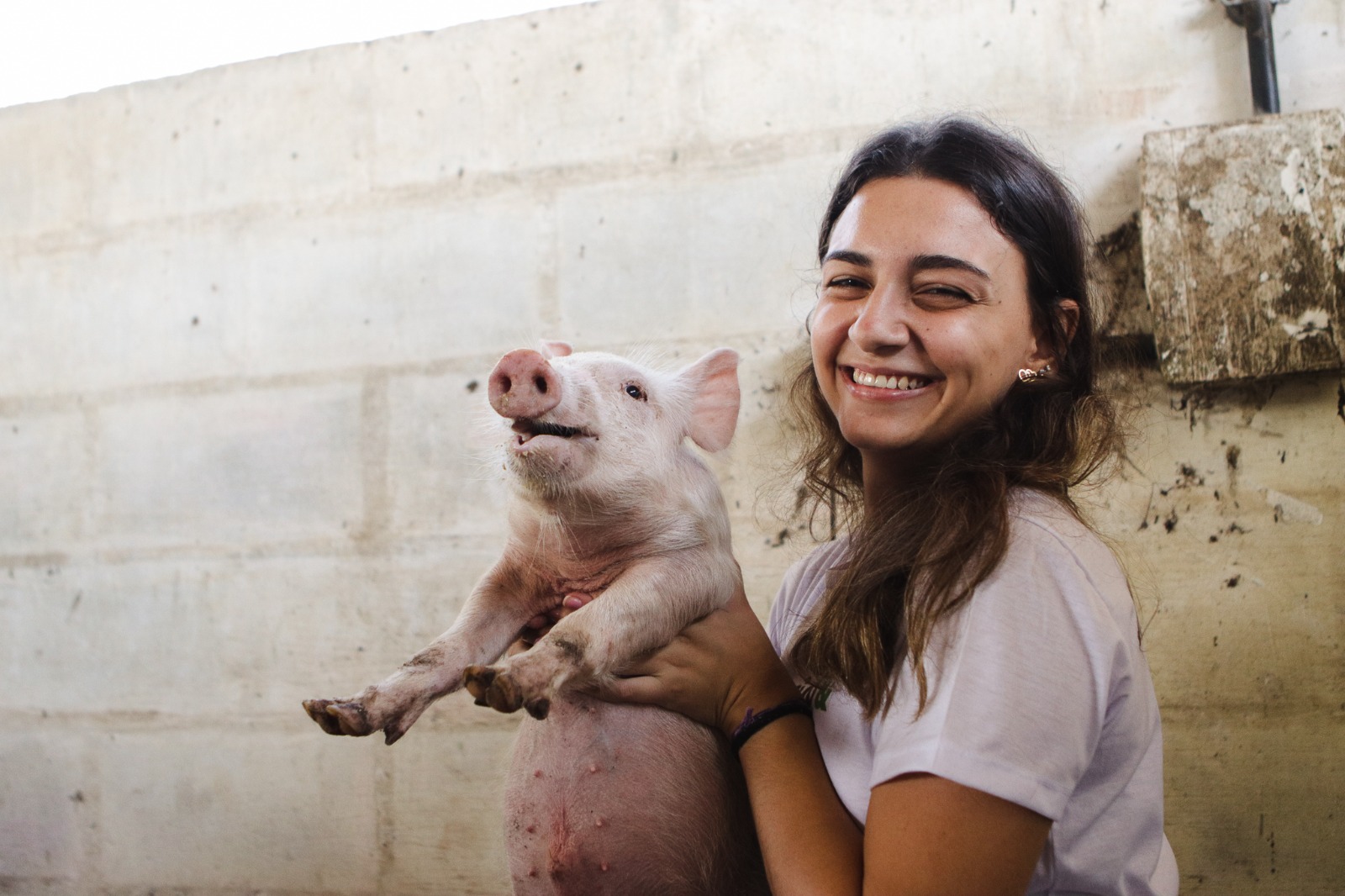Programa de Iniciação Científica da UENF tem mais de 300 alunos de ...