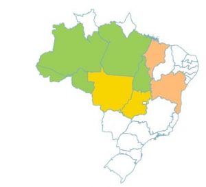 Mogno brasileiro – Árvores da UENF