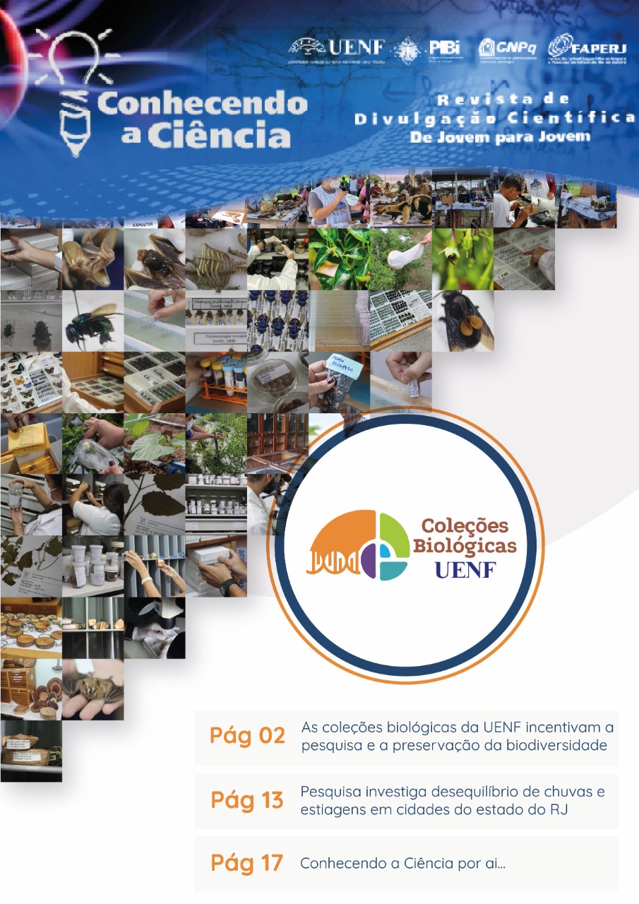 Edições anteriores – Programa Institucional de Bolsas de Iniciação ...